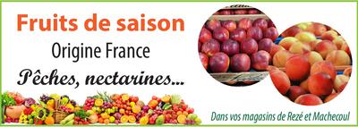 Atlantic Vert : Jardineries authentiques dans le Grand Ouest